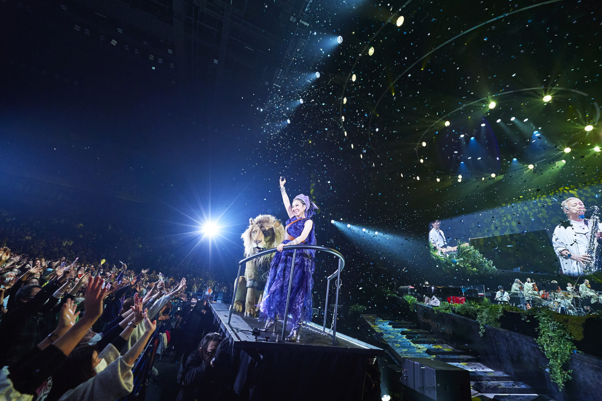 MISIAから「MISIA 星空のライヴXII」のライオンを国立成育医療研究センターに寄付！ | NEWS | 【公式】MISIA | MISIA OFFICIAL SITE