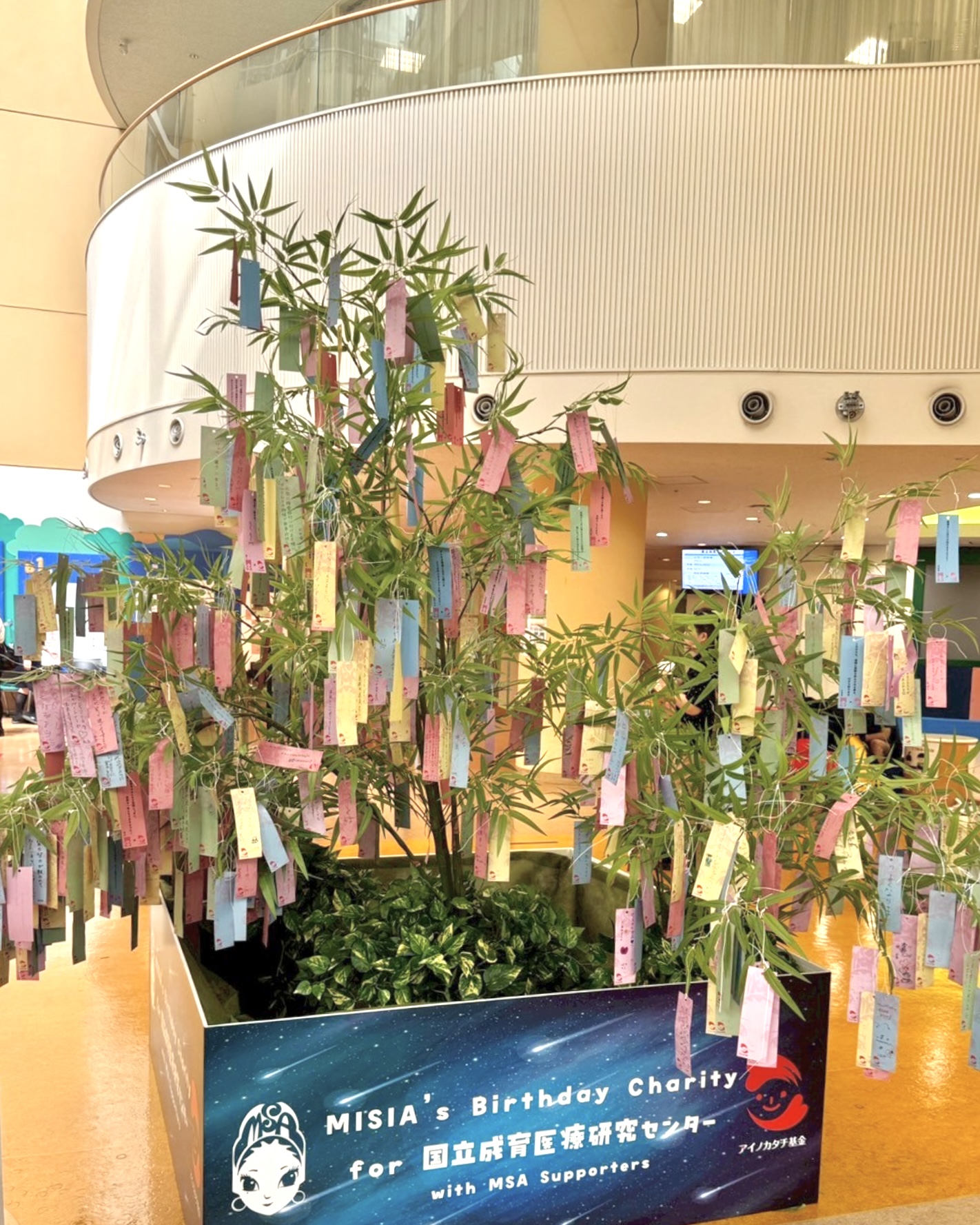 七夕に“MISIA’s Birthday Charity for 国立成育医療研究センター with MSA Supporters”を実施し ...